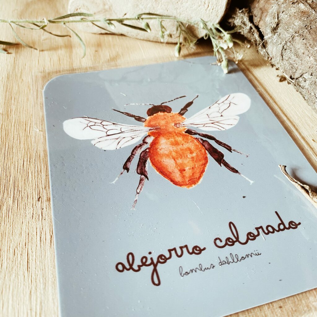 Insectario - Pipocas