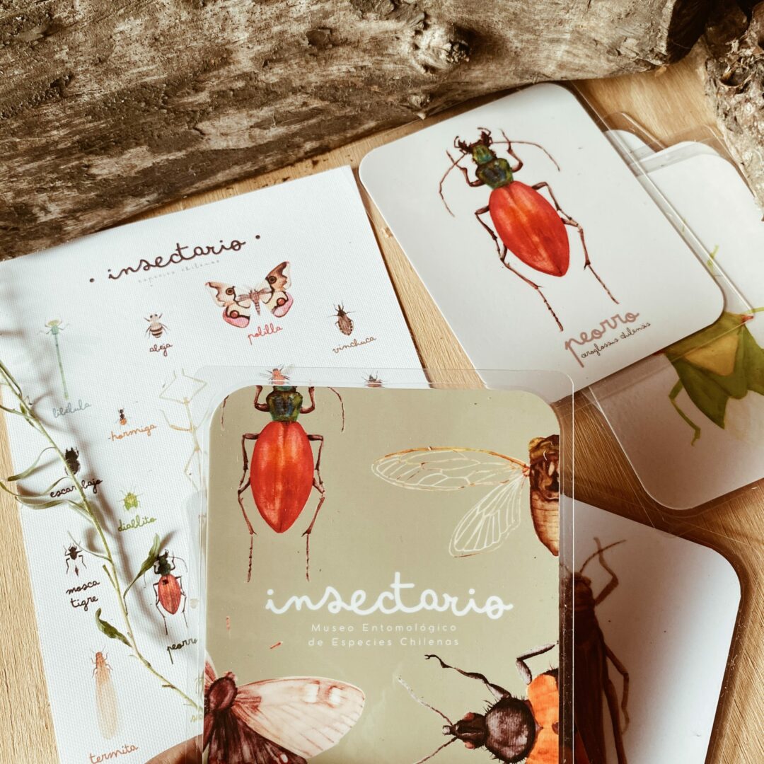 Insectario - Pipocas